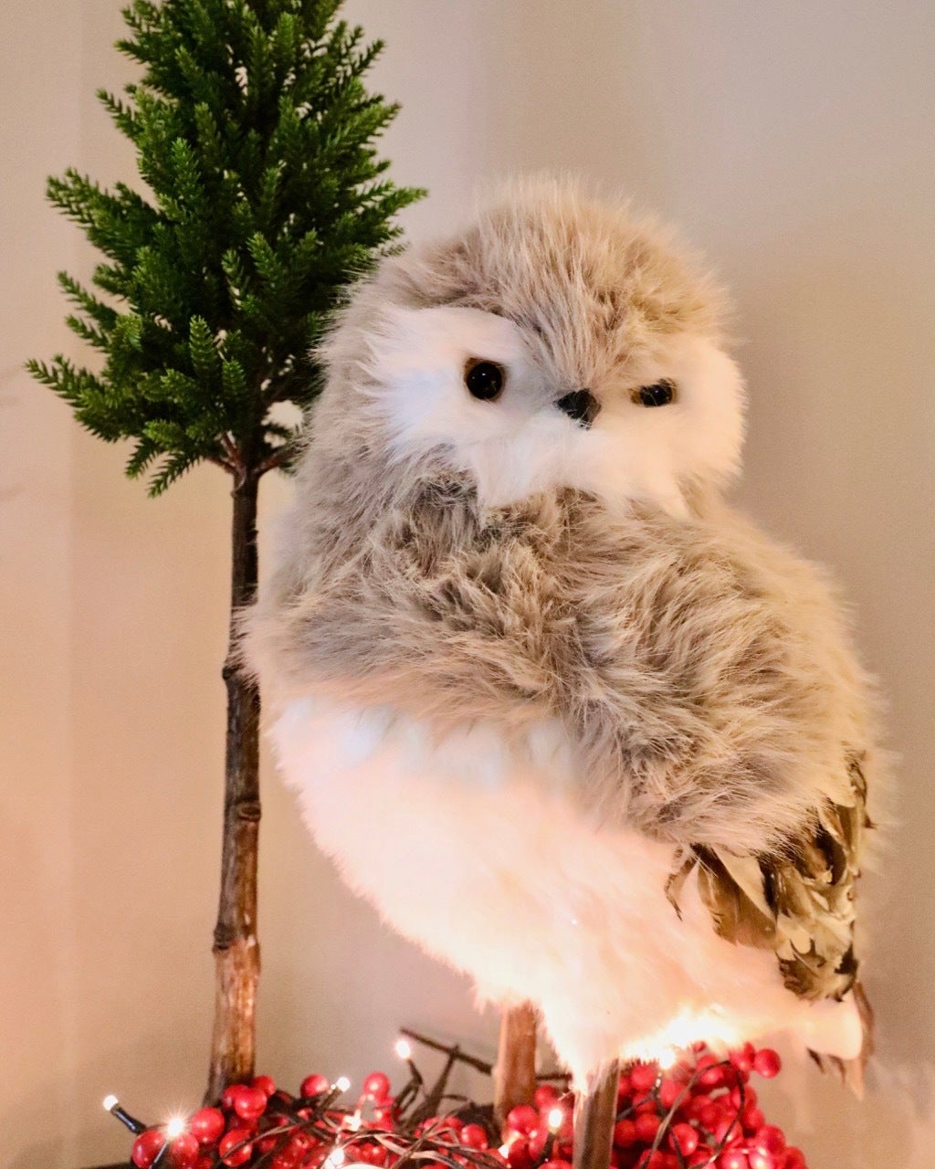 Feathered Owl | Frost Farms Garden Center and Landscape