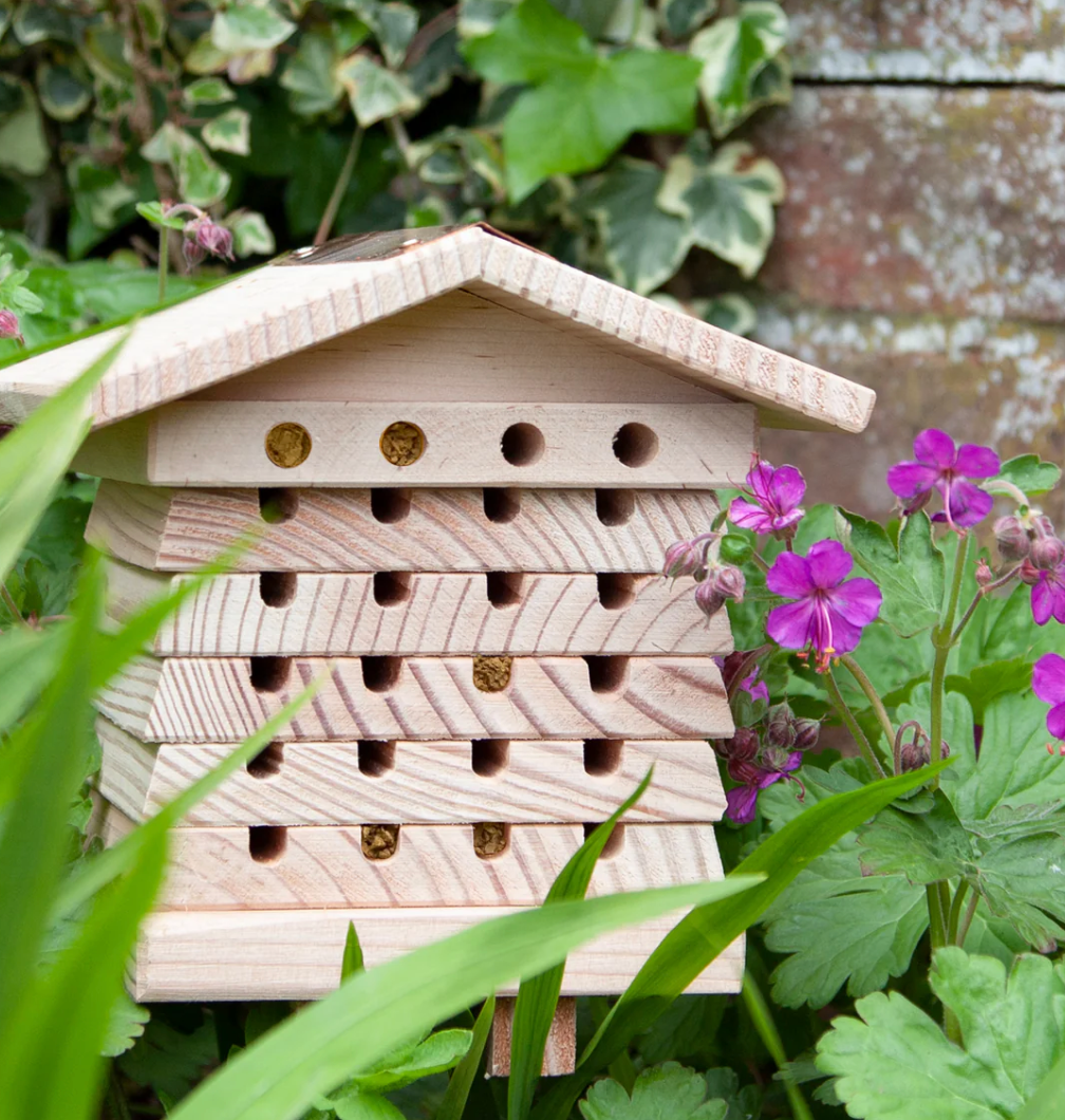 Interactive Solitary Bee Hive | Frost Farms Garden Center and Landscape