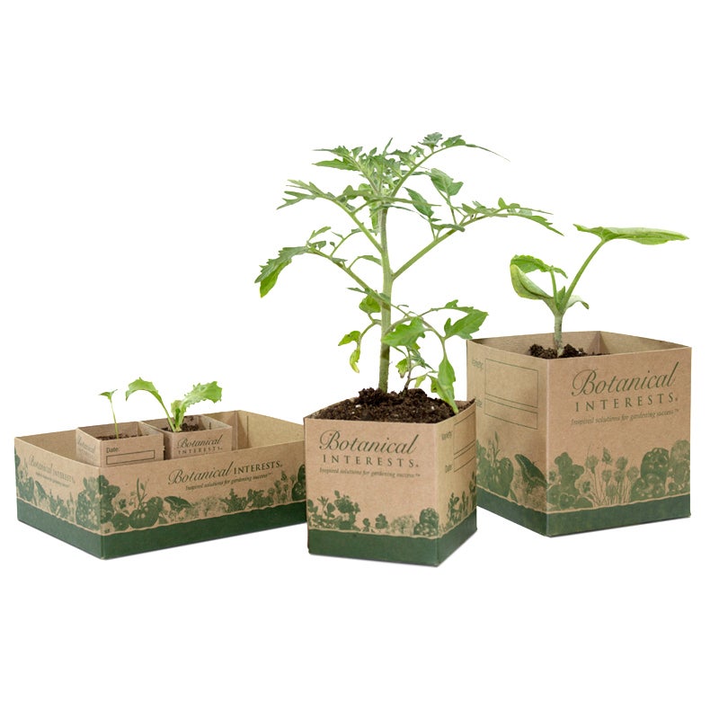 Recycled Paper Pots | Frost Farms Garden Center and Landscape